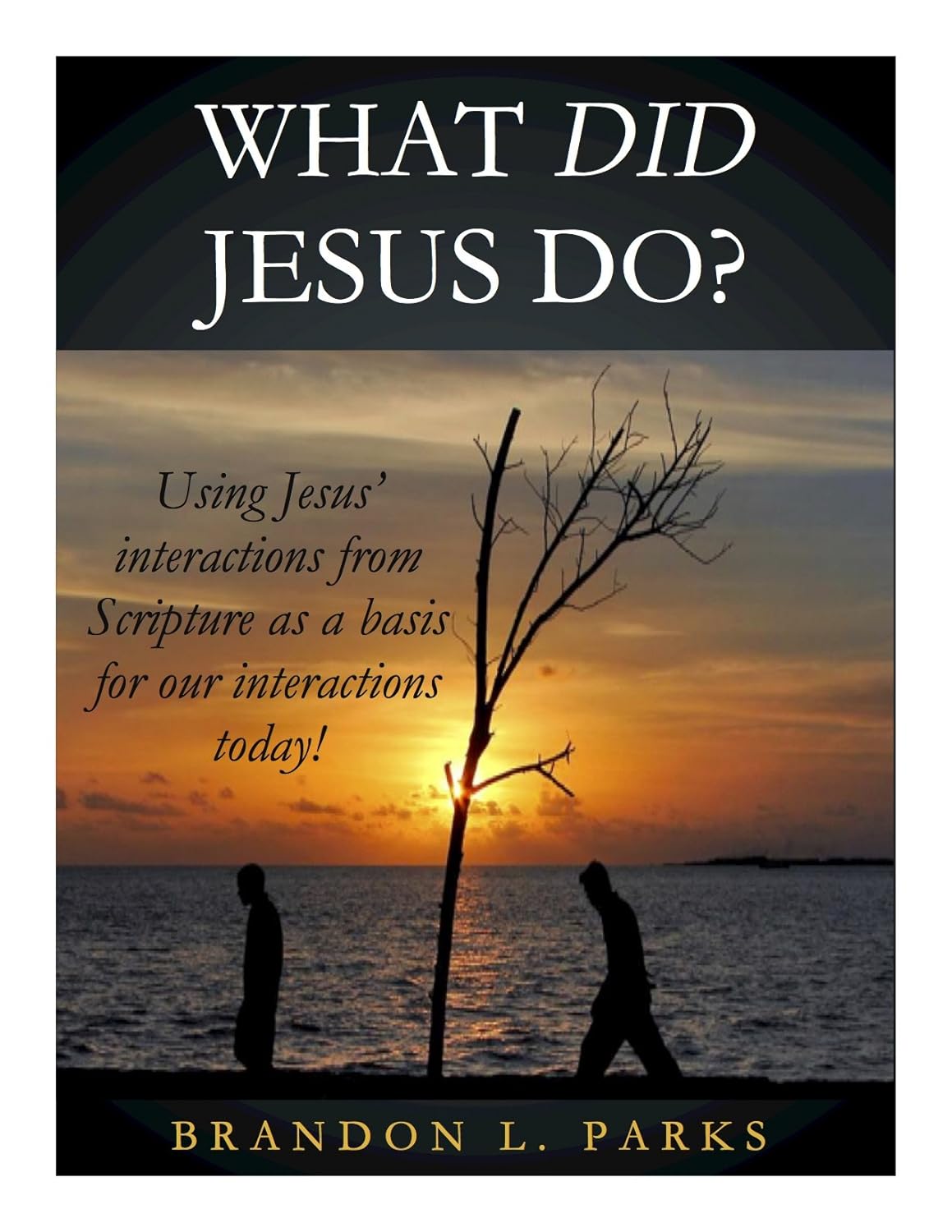 What Did Jesus Do: Using Jesus’ Interactions from Scripture as a Basis ...