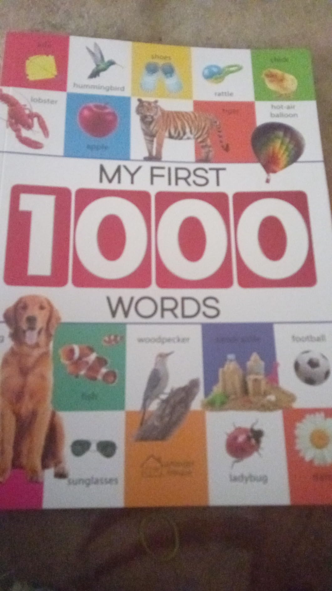 My First 1000 Words: Early Learning Picture Book eBook : Wonder House ...