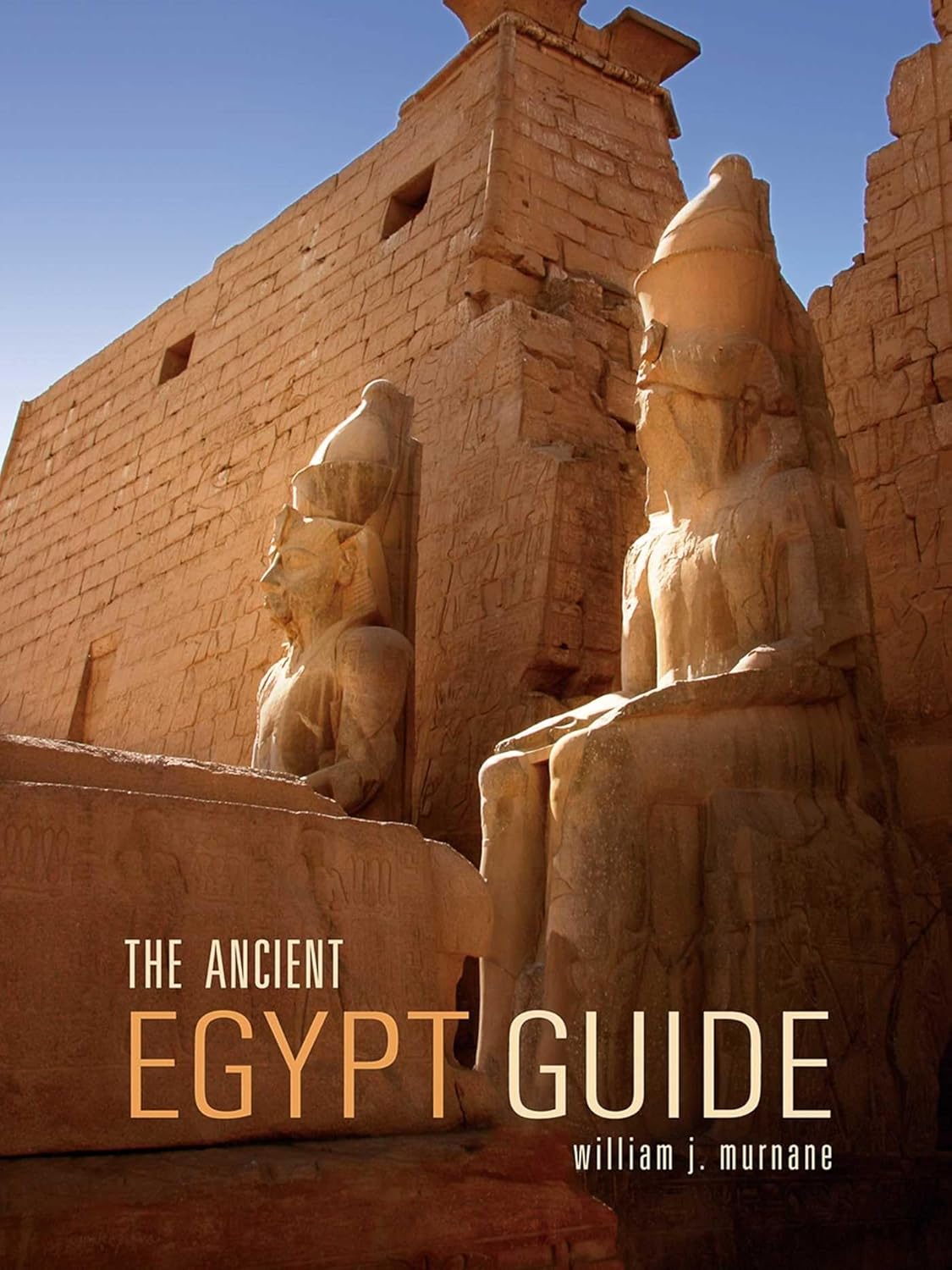The Ancient Egypt Guide (Interlink Guide): Murnane, William J ...