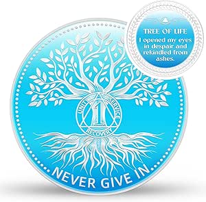 Amazon.com: 1 Year Sobriety Coin, Tree of Life Recovery Coin, Sobriety ...