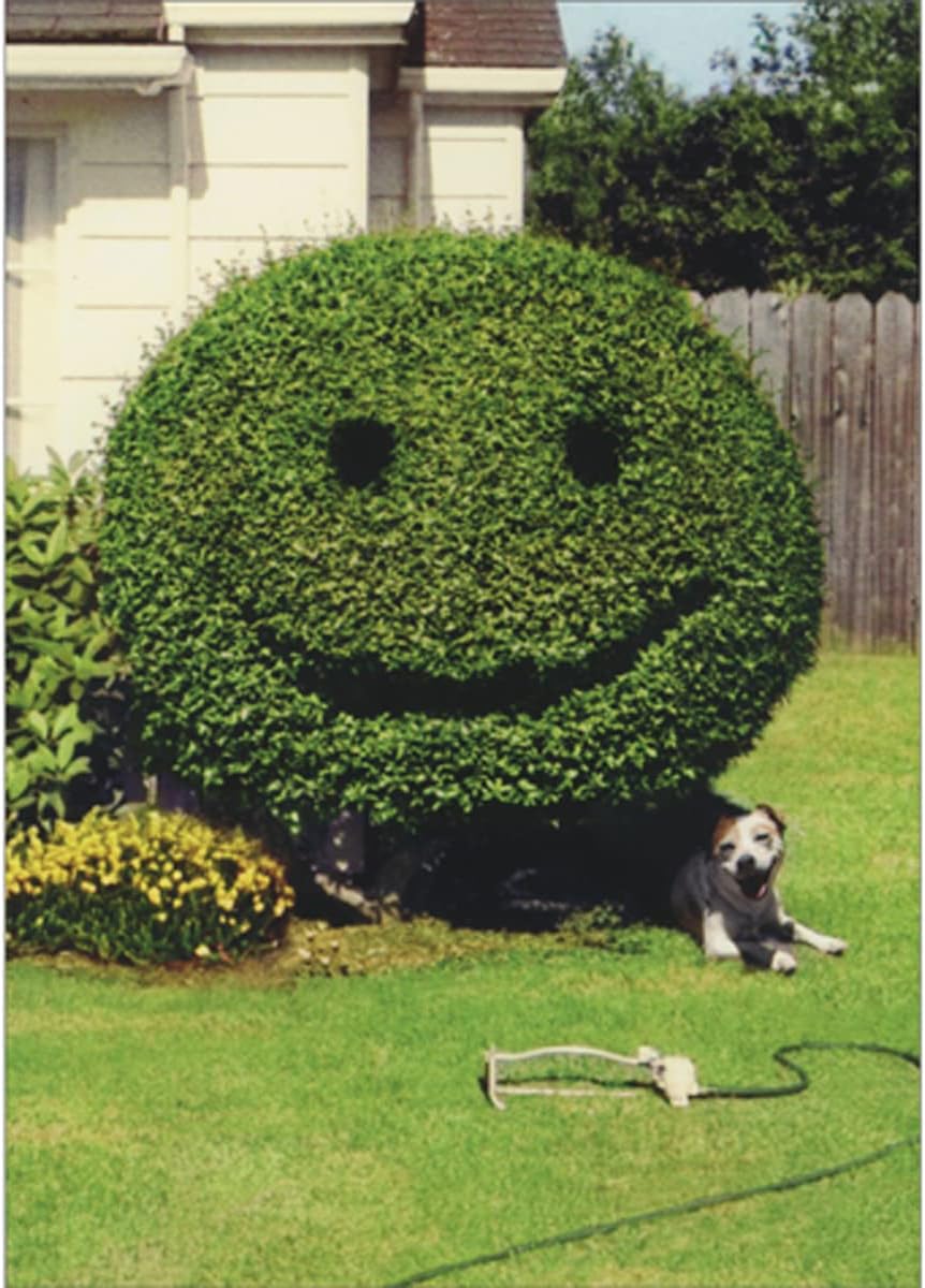 Amazon.com : Avanti Press Smiley Face Hedge and Dog Funny/Humorous New ...