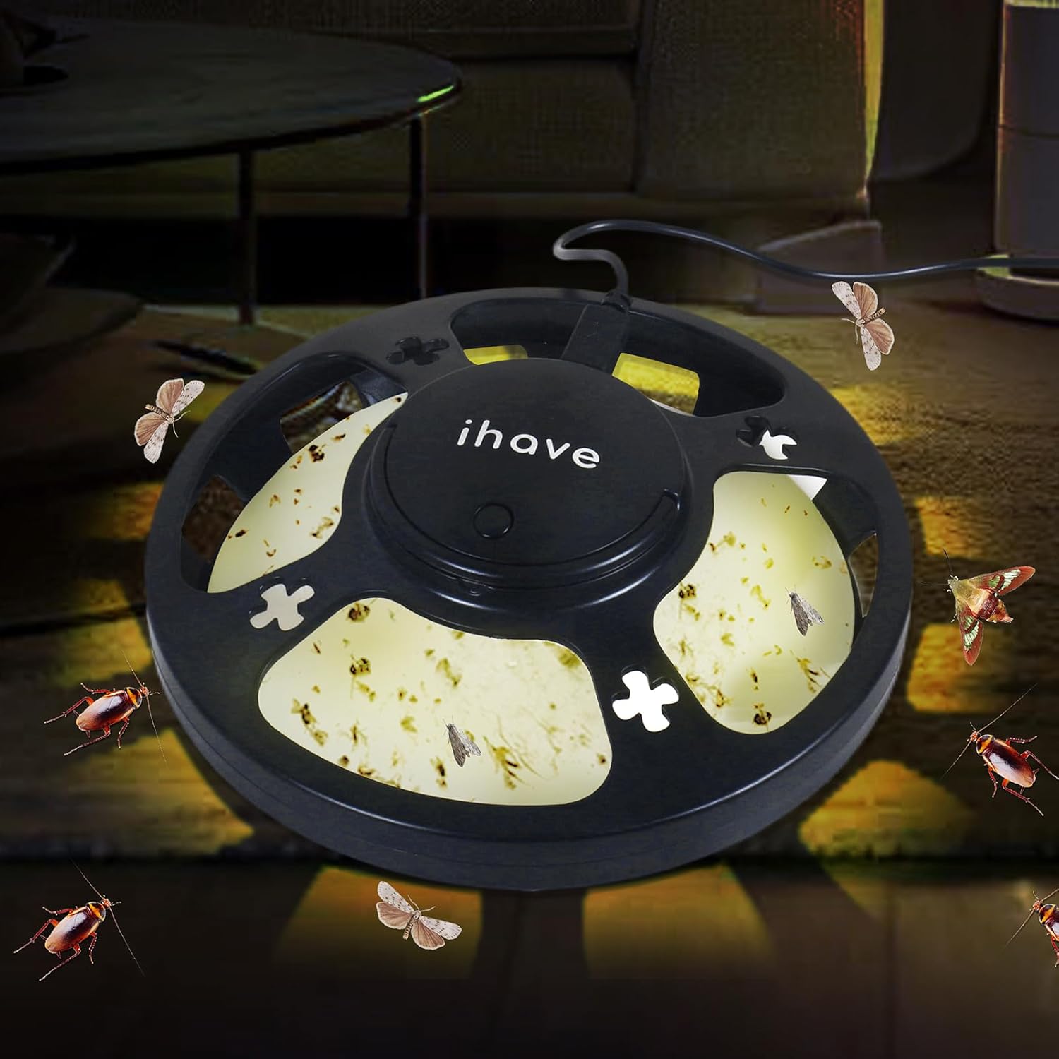 Amazon.com : Fly Trap Indoor - Multi Bug Catcher Fruit Fly Traps ...