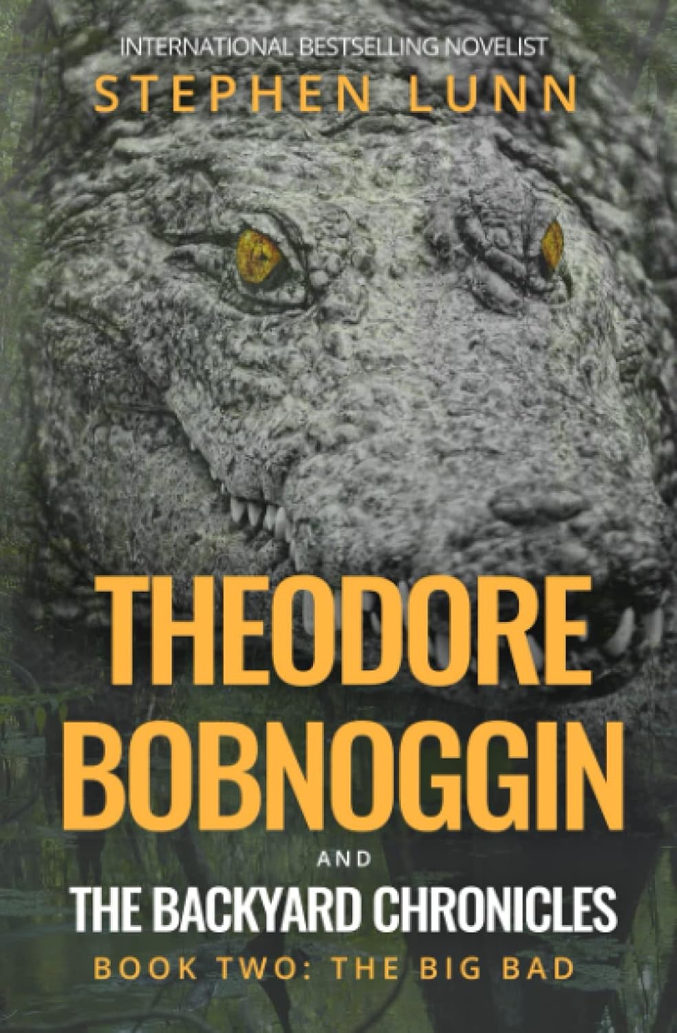 Amazon.com: THEODORE BOBNOGGIN and THE BACKYARD CHRONICLES BOOK TWO ...