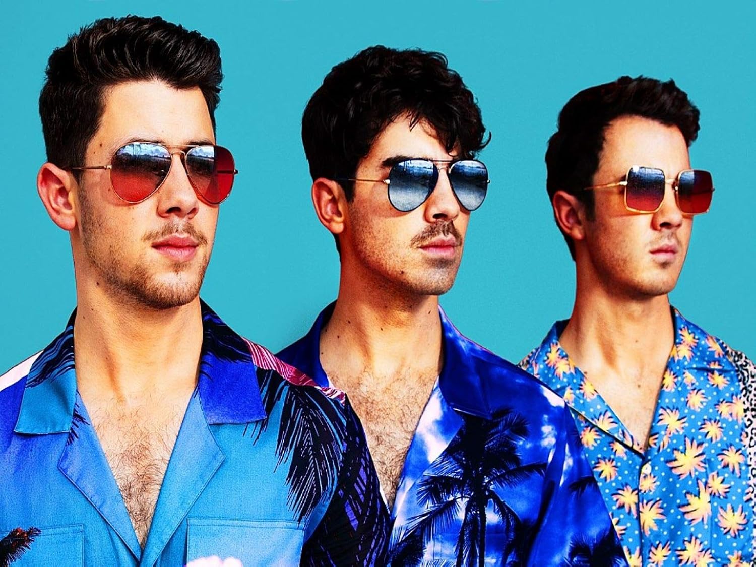 Amazon.com: Credence Collections Jonas Brothers Cool HD Poster 12 x 16 ...