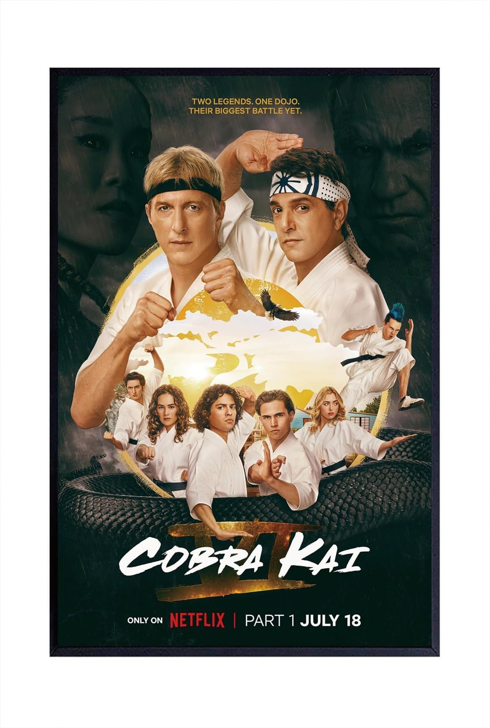 Jefuzh - Póster Cobra Kai - Póster mate sin marco, regalo de 28 x 43 cm ...