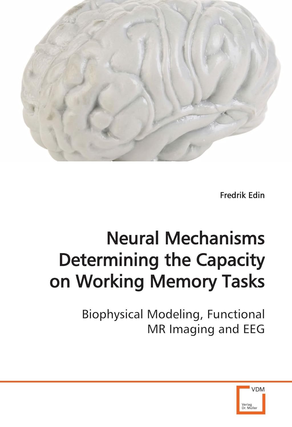 Neural Mechanisms Determining the Capacity on Working Memory Tasks ...