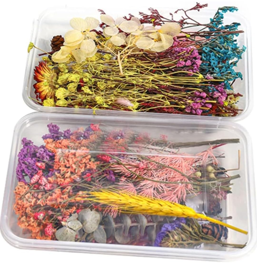 VRB DecTM 1 Box Natural Real Dried Flowers for Art Craft/rasin Art kit ...