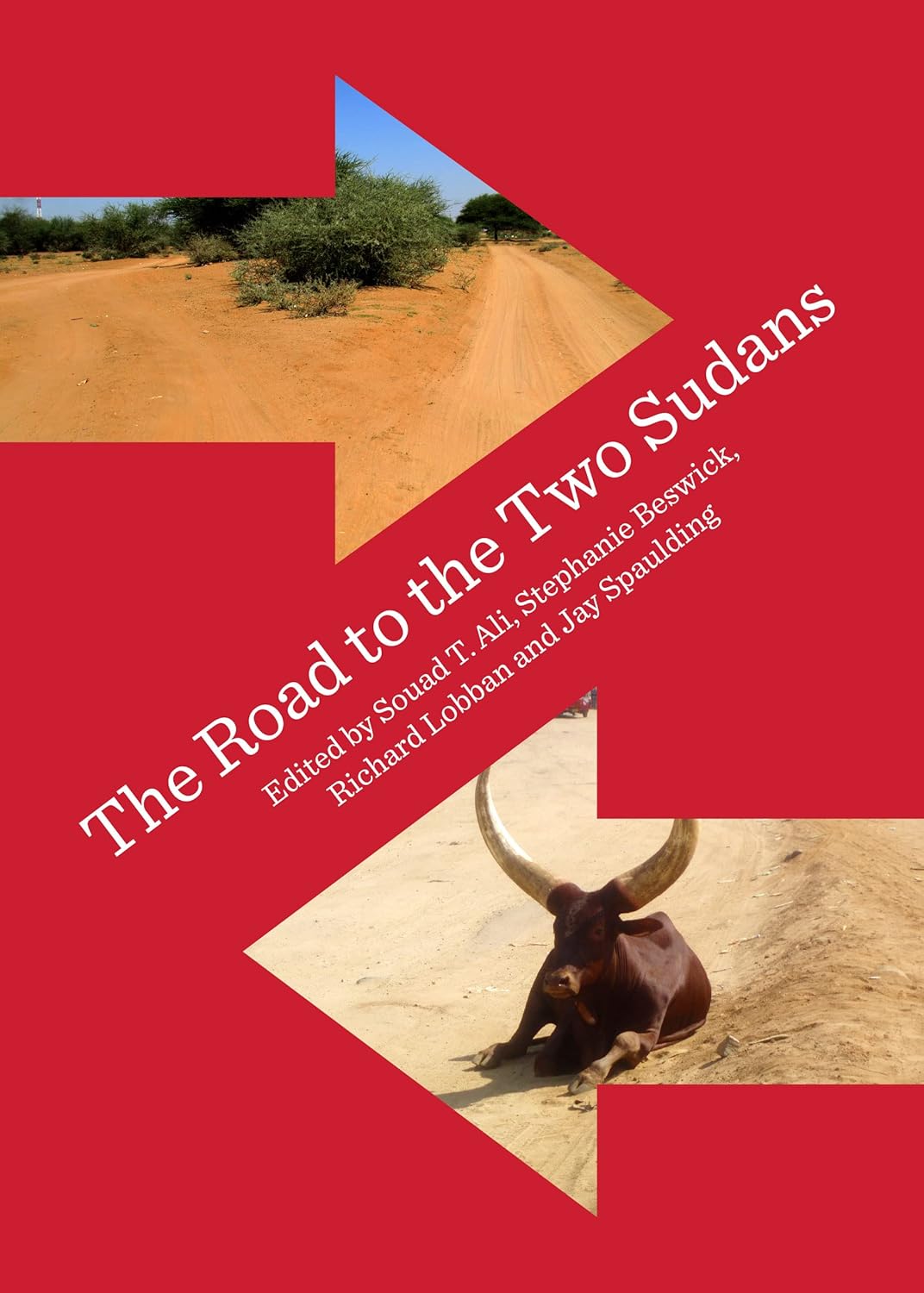 The Road to the Two Sudans: Souad Ali, Richard Lobban: 9781443856324 ...