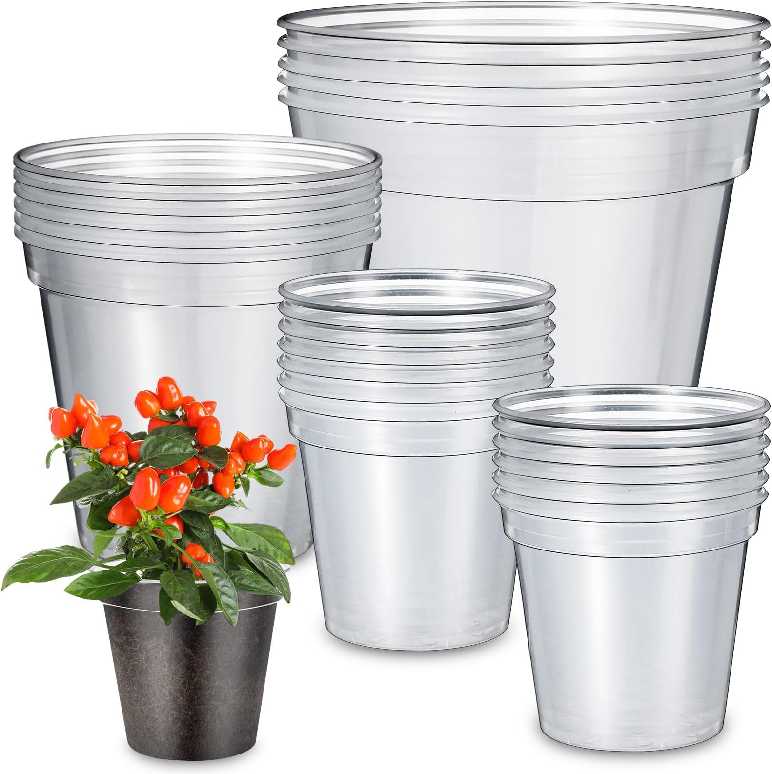 Amazon Hushee 10 Pcs 9 25 Inch Clear Nursery Pots With 10 Pcs amazon-hushee-10-pcs-9-25-inch-clear-nursery-pots-with-10-pcs