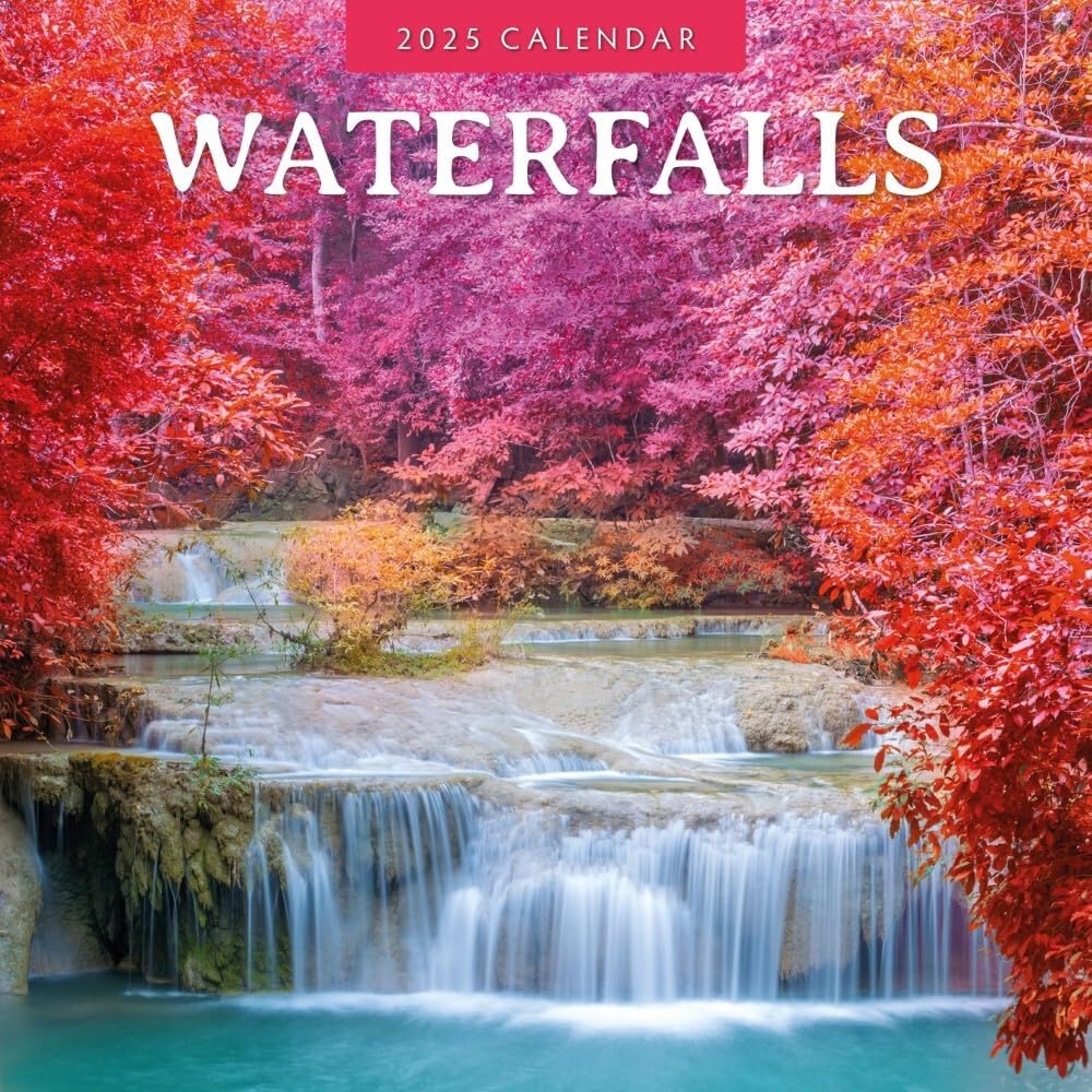 Amazon.com: Red Robin 2025 Waterfalls Monthly Wall Calendar | 12" x 24 ...