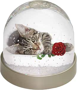 Tabby Kitten Cat with Red Rose Photo Snow Globe Waterball - Advanta ...