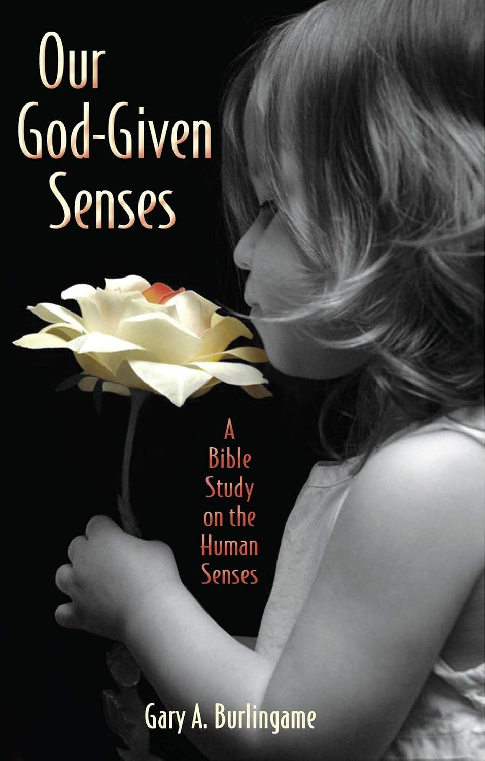 Our God-Given Senses: An Introduction to the Nine Human Senses ...
