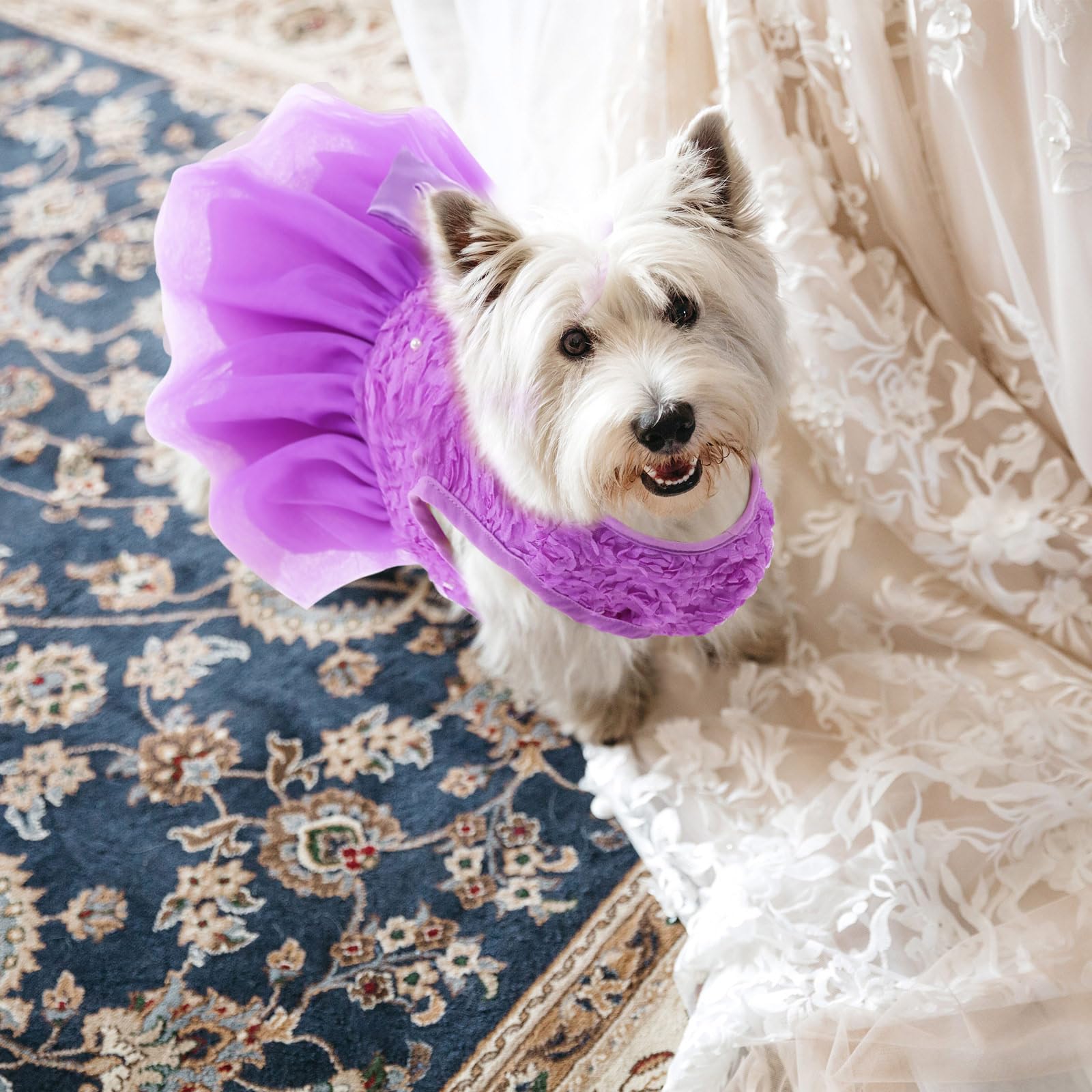 Snapklik.com : ASENKU Dog Dress Pet Wedding Dress Princess Lace Puppy ...
