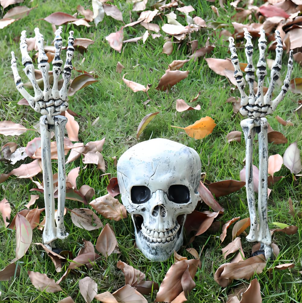 Amazon.com : UMEELR Halloween Animal Skeletons, Cats and Dogs Pose-N ...