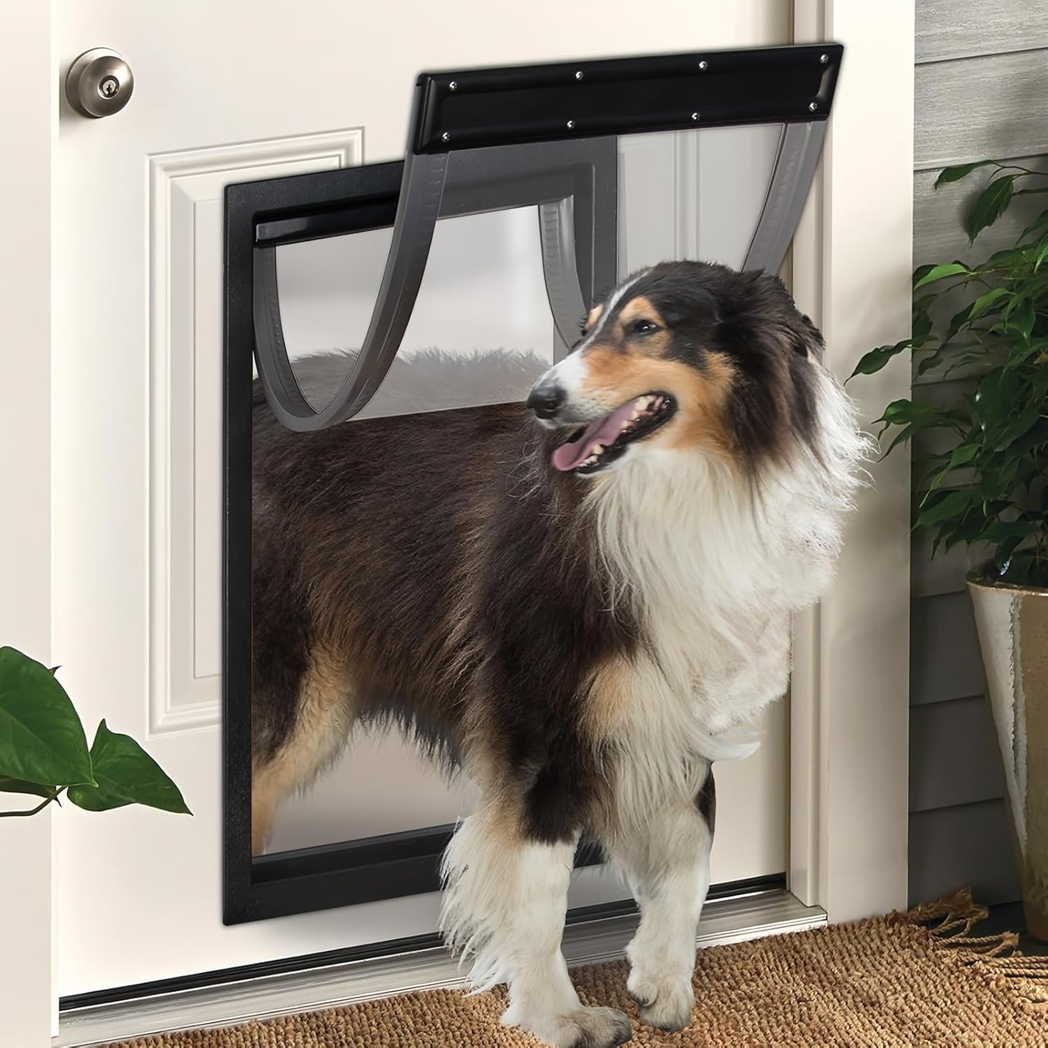 Amazon.com : ZJSF Large Dog Door for Doors, Extreme Weather Energy Efficient Pet Door for Cats ...