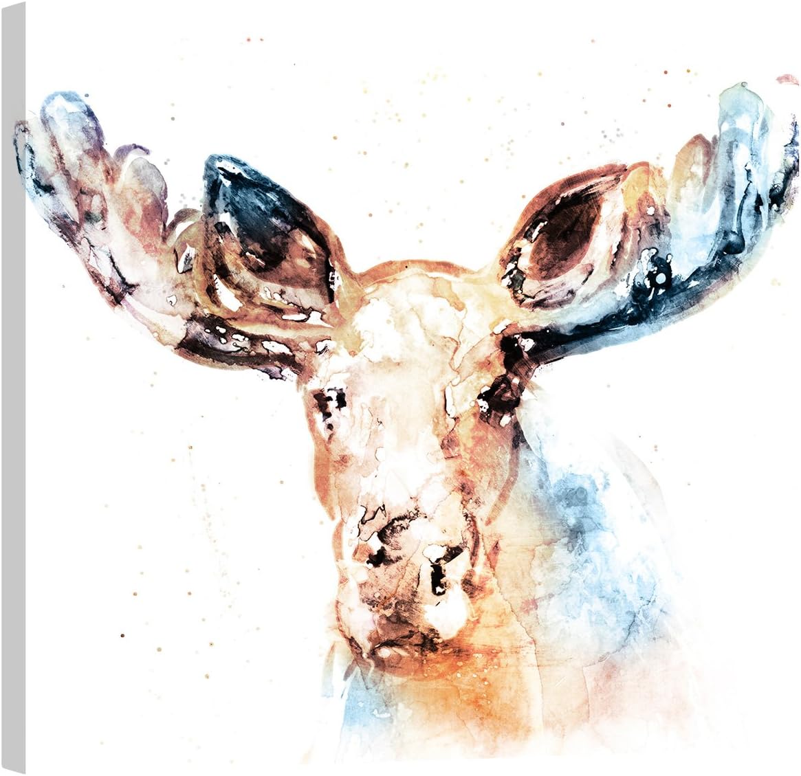 Amazon.com: BLACK FOREST DECOR Watercolor Moose Mirror Wrapped Canvas ...