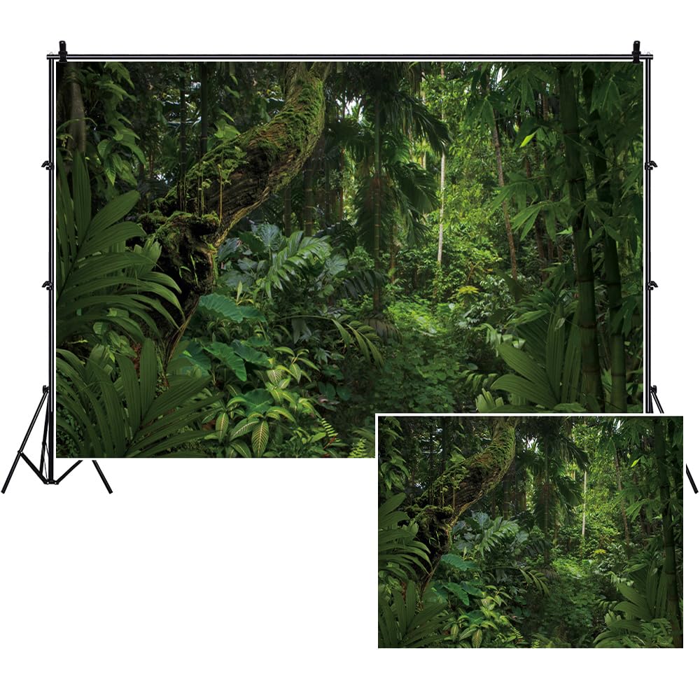 SDOTPMT 10x7ft Jungle Rainforest Polyester Backdrop Spring Enchanted ...