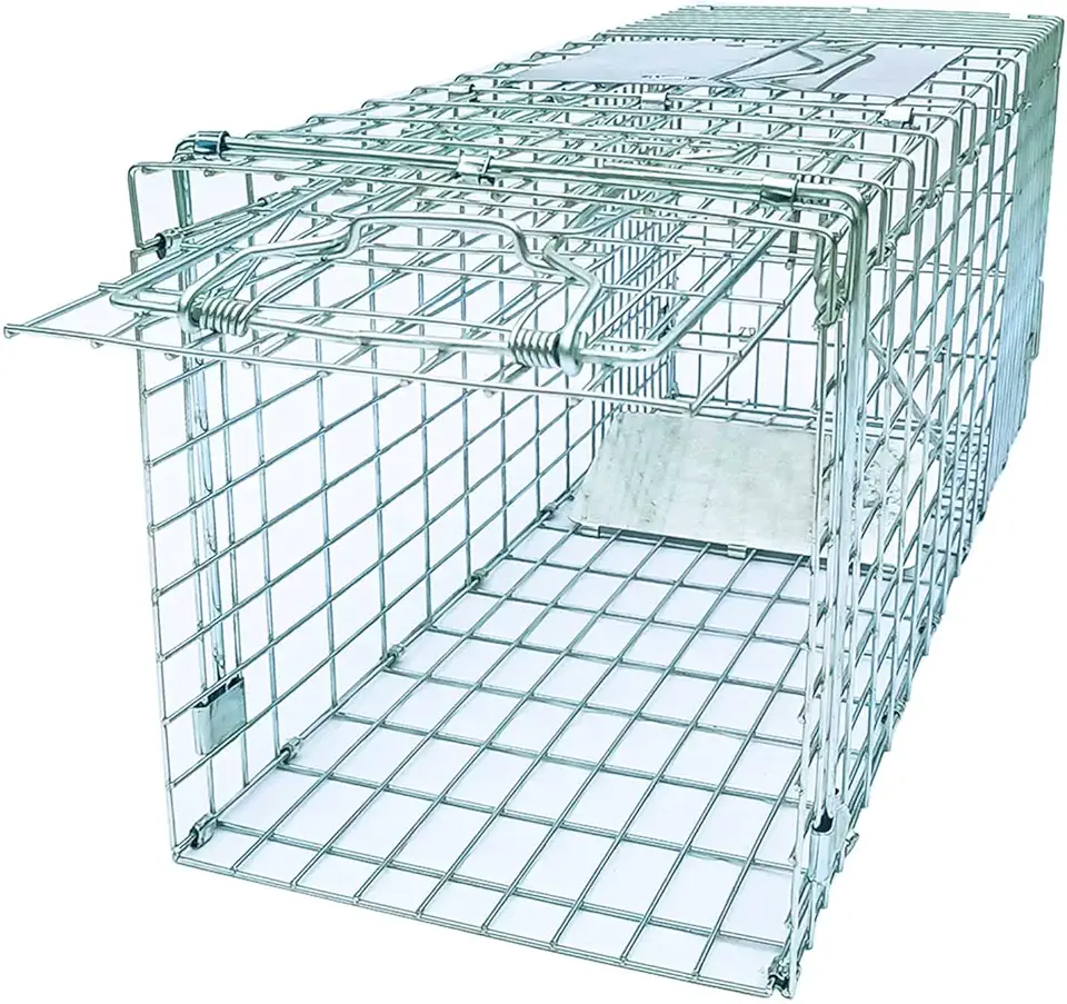 Trapping Feral Cats: Using Drop Traps For Effective Capture | PetShun