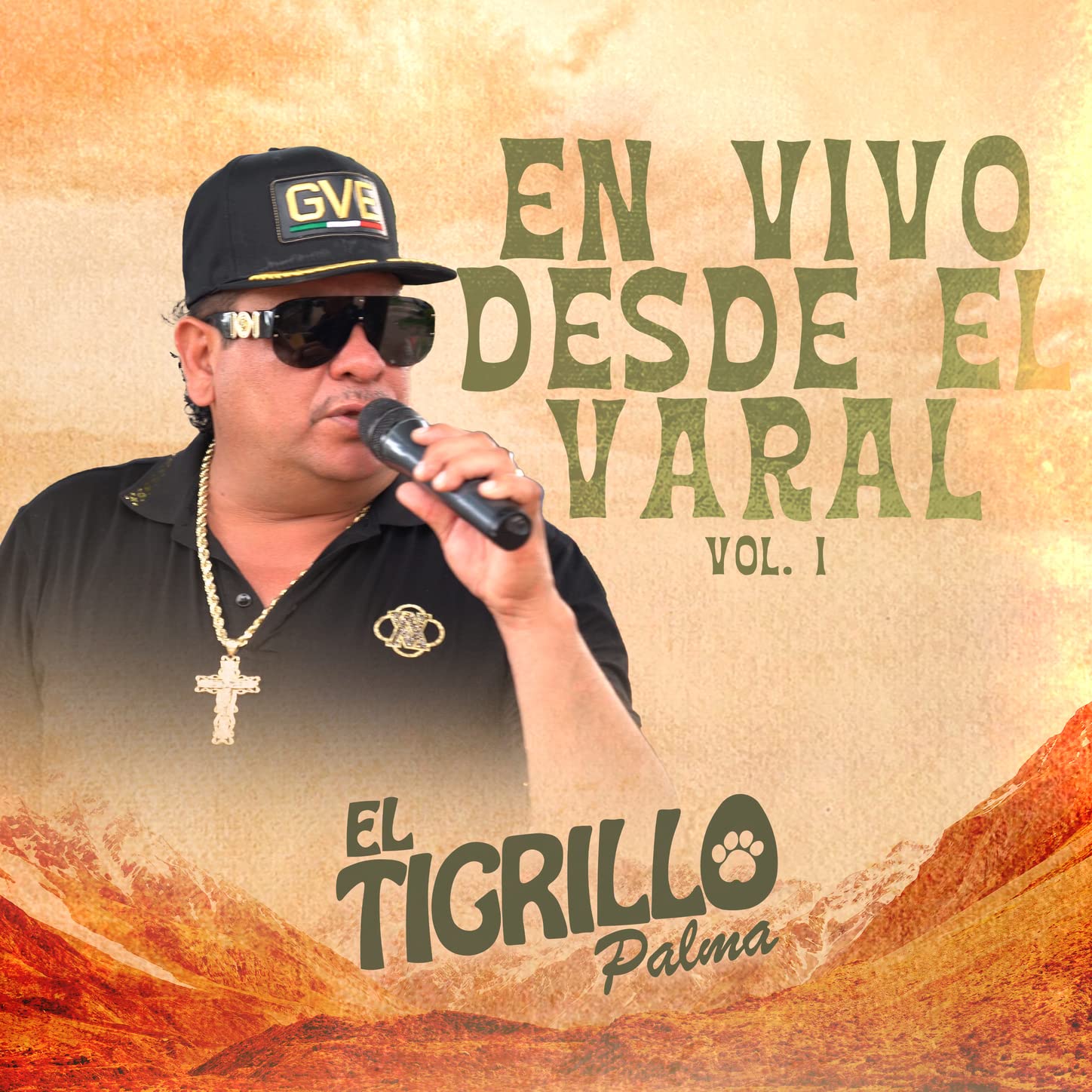 El 24 song by El Tigrillo Palma from Corridos y Banda [Explicit] on ...