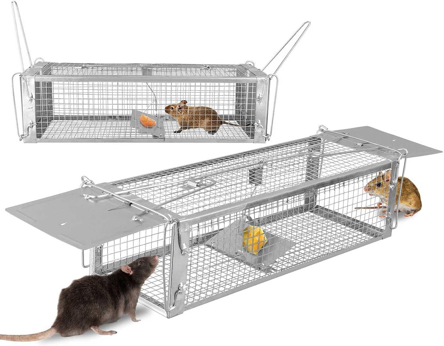 Amazon.com : TeqHome 2-Door Humane Rat Cage Trap, Metal Live Animal ...