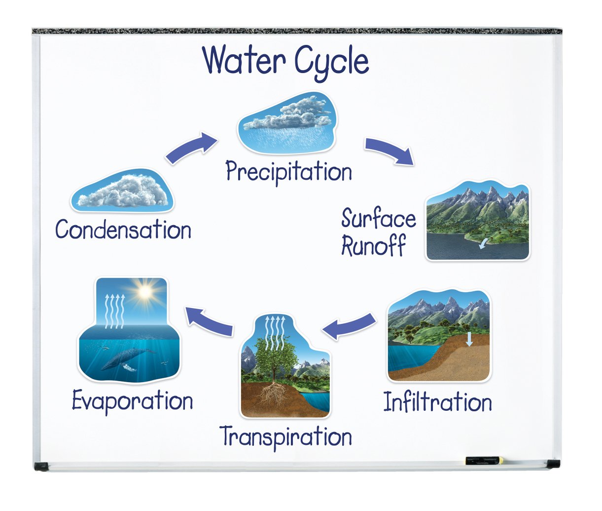 Learning Resources Giant Magnetic Water Cycle : Amazon.co.uk: Toys & Games