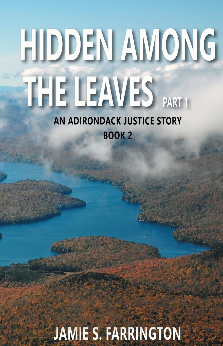 Hidden Among The Leaves: Part 1: Adirondack Justice Series (An ...