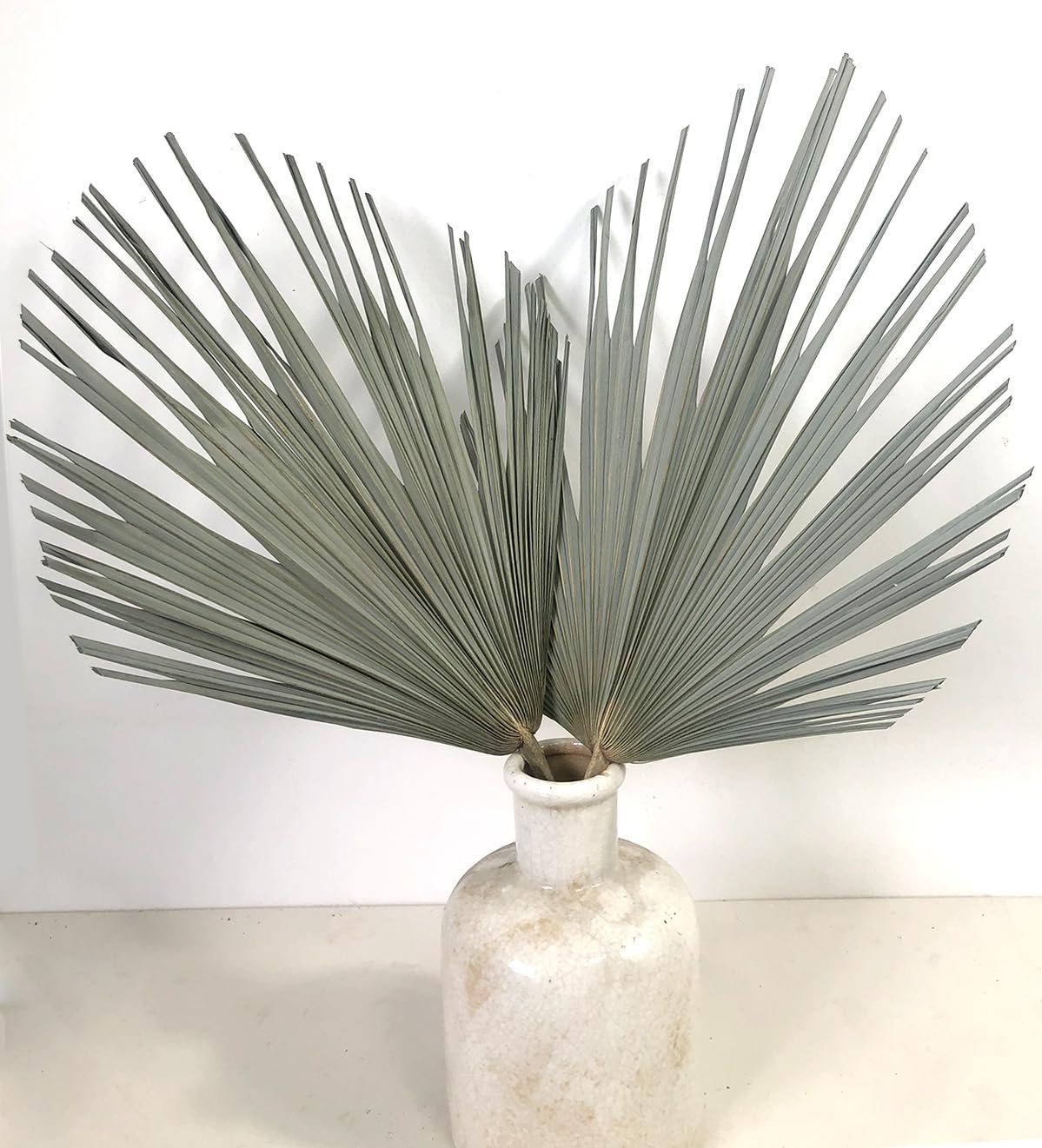 Amazon.com: DongArts Dry Sun Palm Fronds, Dried Leaf Fans, Boho Dried ...