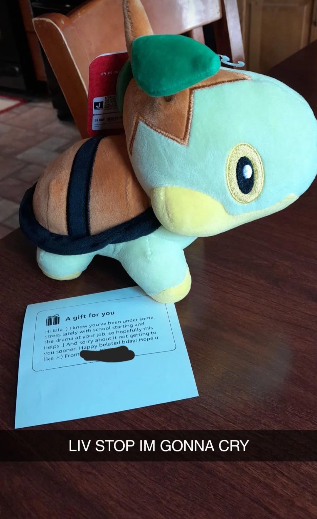 Amazon.com: Pokémon 8" Turtwig Plush - Officially Licensed - Quality ...