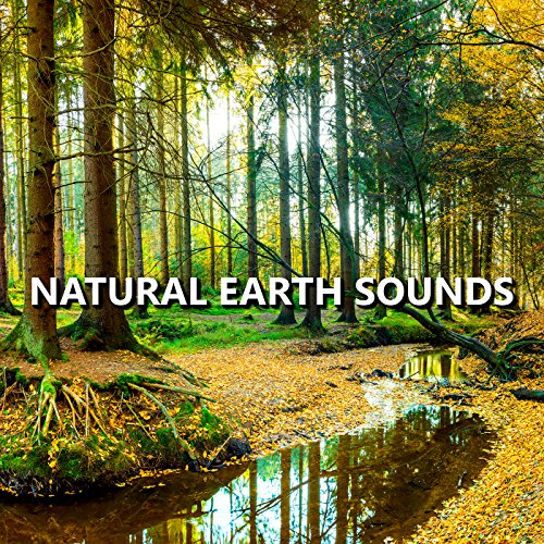 Play Natural Earth Sounds by Earth Sounds on Amazon Music Unlimited