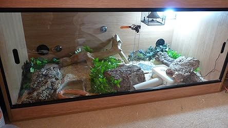 36x15x15 Inch Vivarium Flatpacked In Oak, 3ft Viv By Repti-life ...
