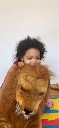 Amazon.com: Melissa & Doug Giant Lion - Lifelike Stuffed Animal (over 6 ...