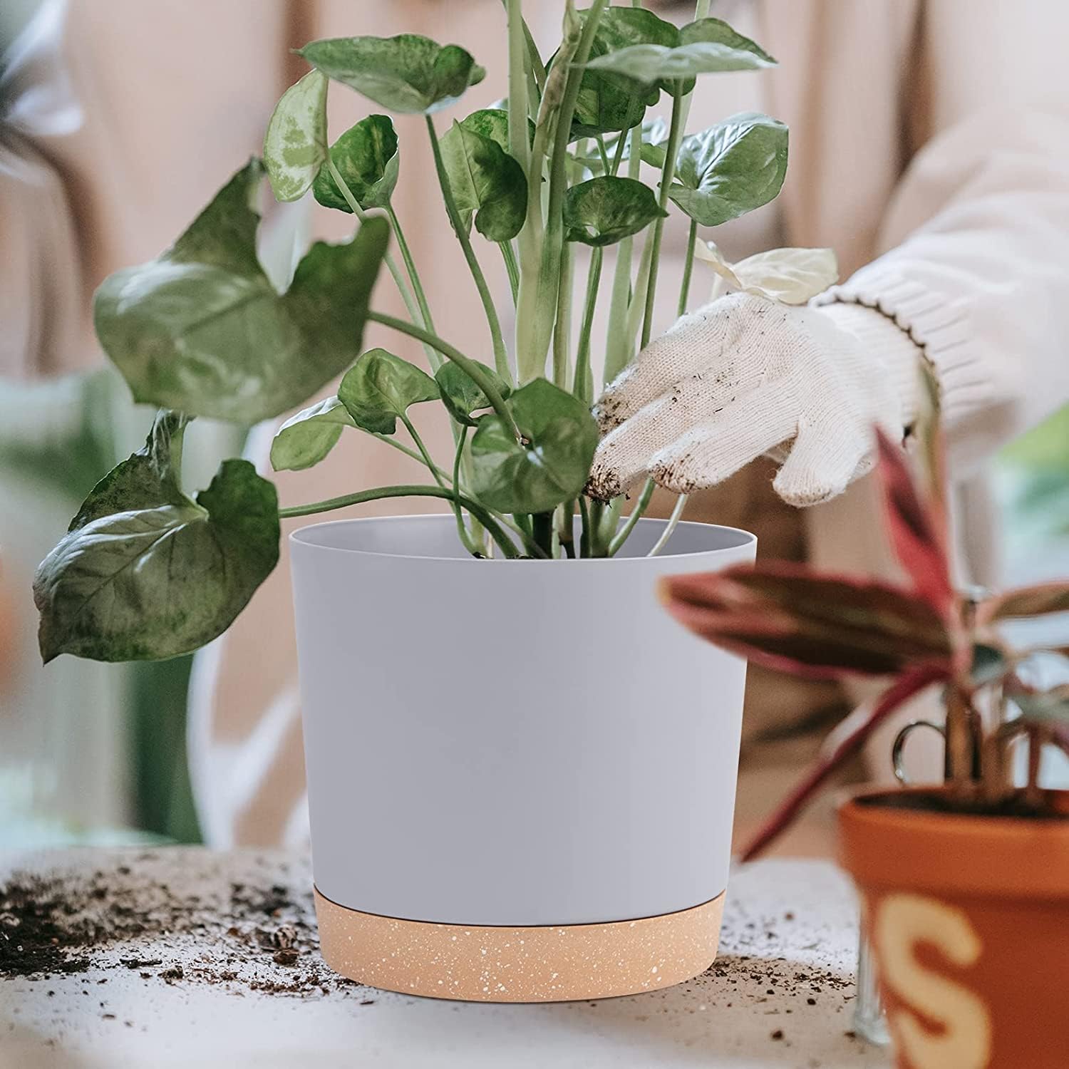 Snapklik.com : QCQHDU 8 Inch Plant Pot, 2 Pack Planters For Indoor Plants