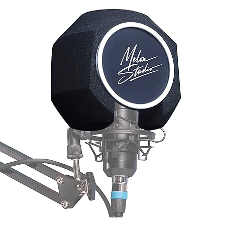 Amazon.com: Melon Studio Microphone windscreen Pop Filter For Mic ...