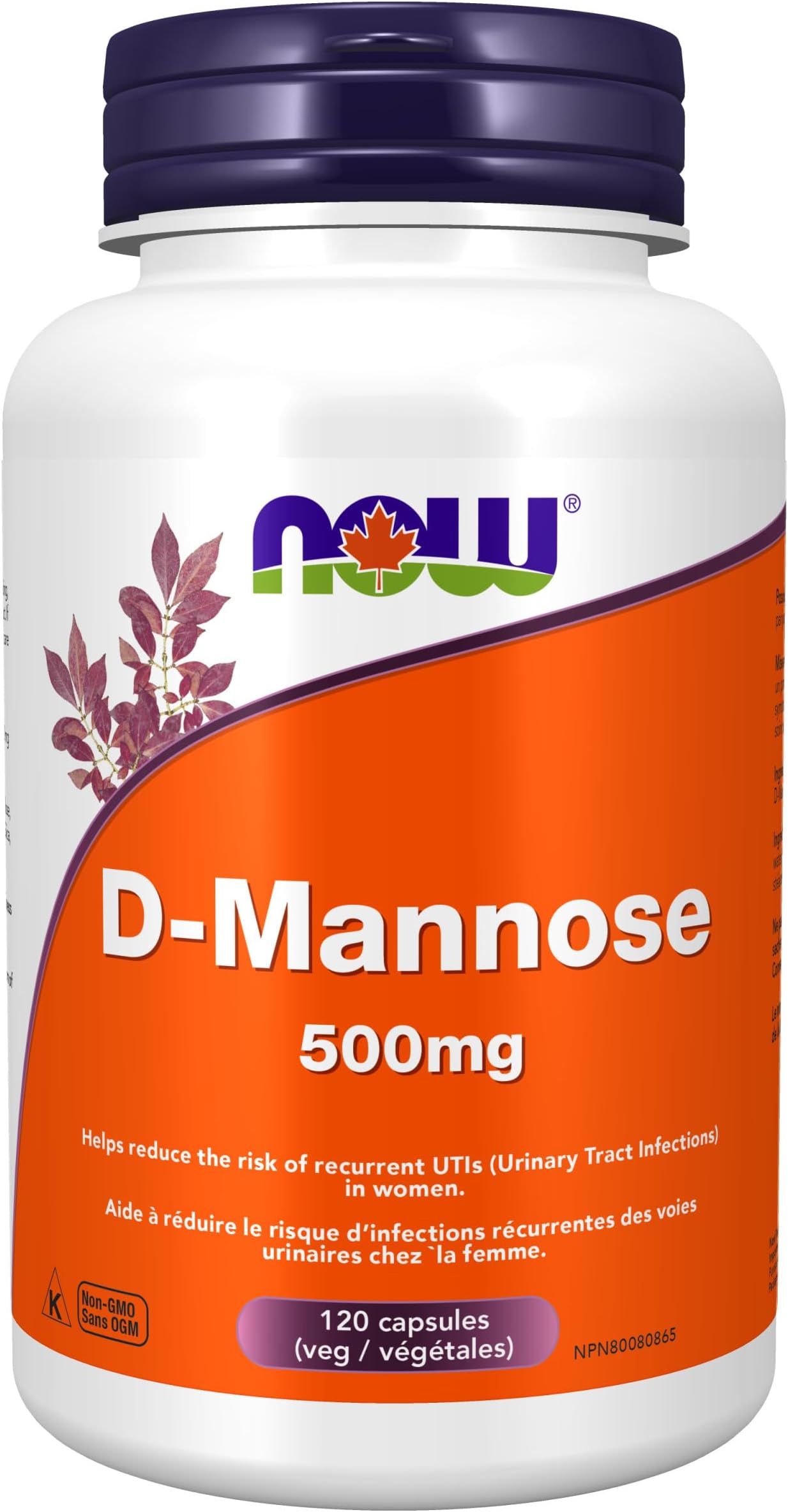 Amazon.com: NOW FOODS Dmannose 500mg, 120 CT : Health & Household