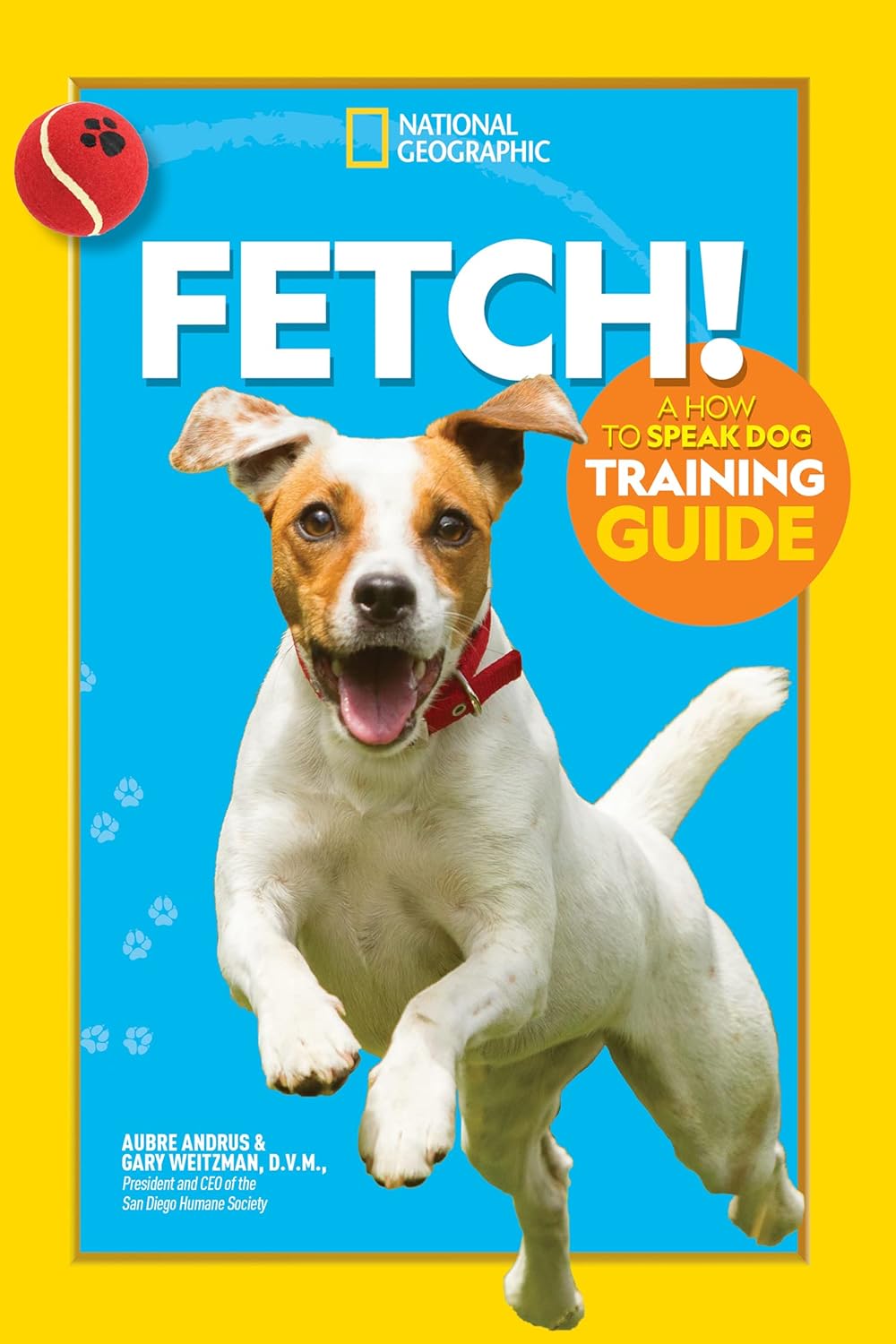 Fetch!: A How to Speak Dog Training Guide (Ngk How to Speak Animal ...