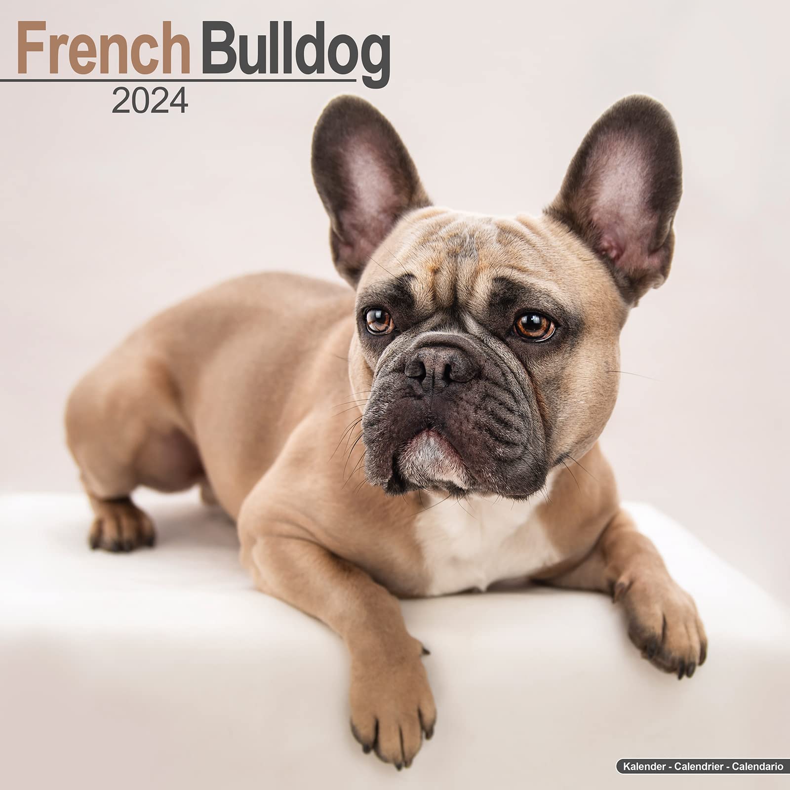 French Bulldog Calendar - Dog Breed Calendars - 2023 - 2024 wall ...