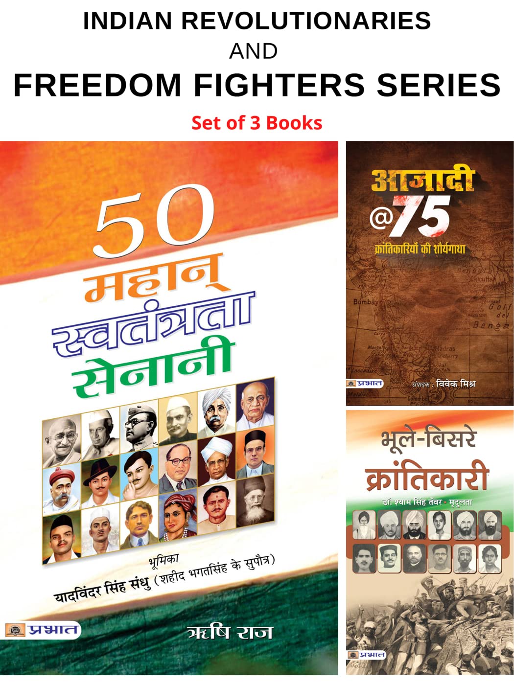 Indian Revolutionaries and Freedom Fighters Series (Bhoole-bisare ...