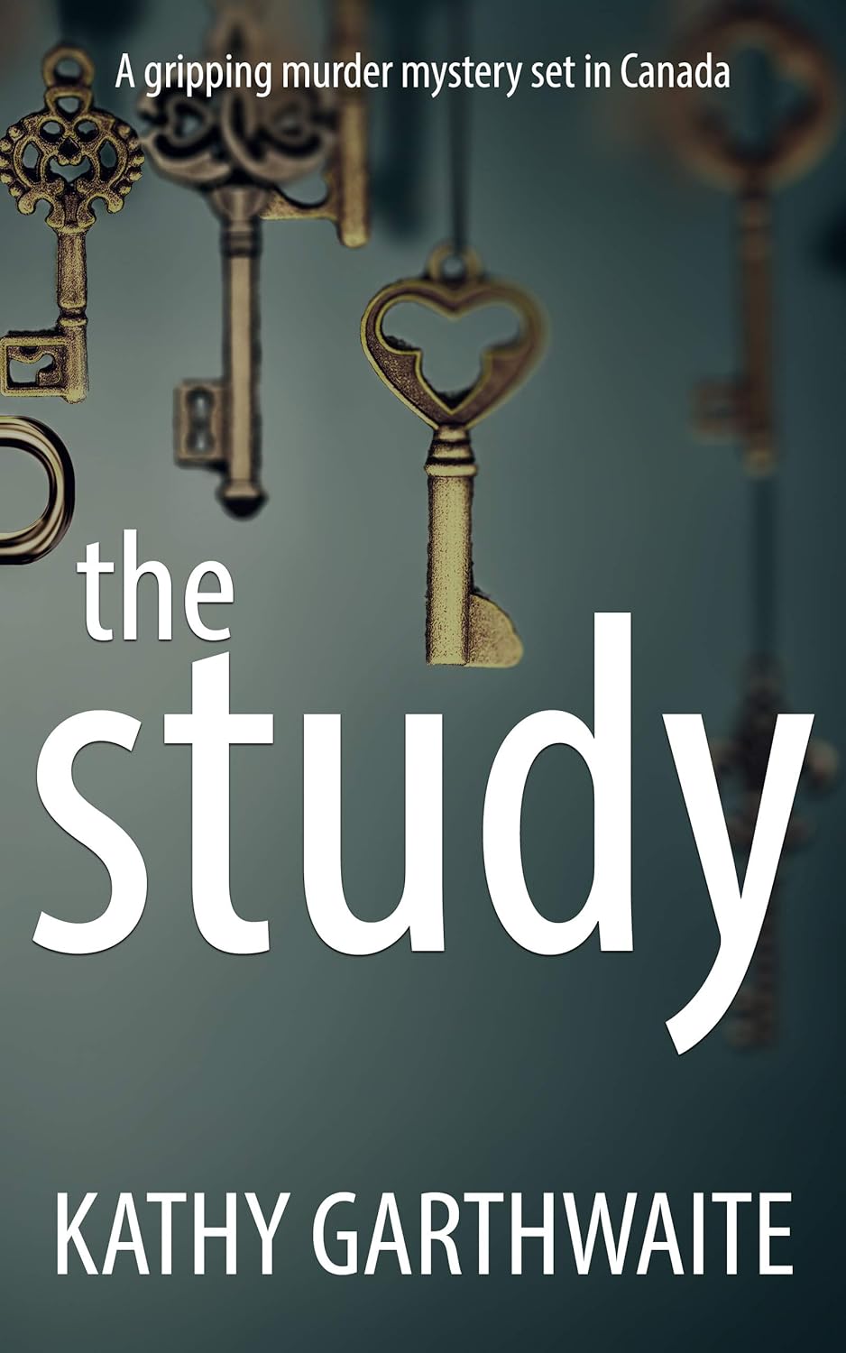 Amazon.com: The Study: A gripping murder mystery set in Canada ...