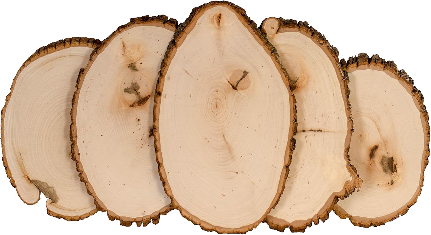 Amazon.com: Walnut Hollow Rustic Basswood Round Medium with Live Edge ...