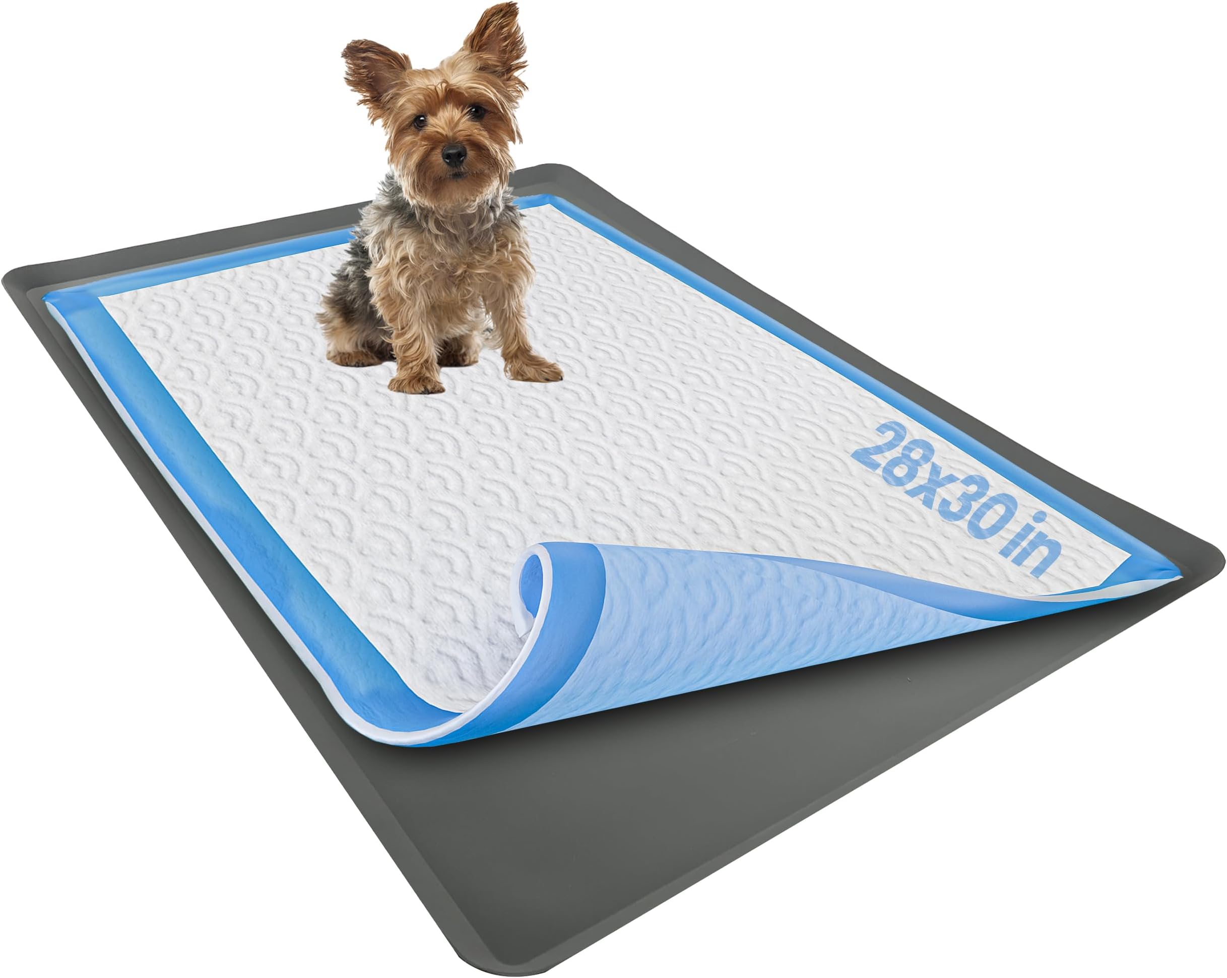 Amazon.com: Skywin Dog Pad Holder Tray for 28 x 30 Inches Training Pads - Easy to Clean and ...