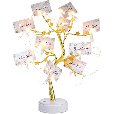 Amazon.com: PABIPABI Money Tree Gift Holder，Set of 2 Birch Tree with 12 ...
