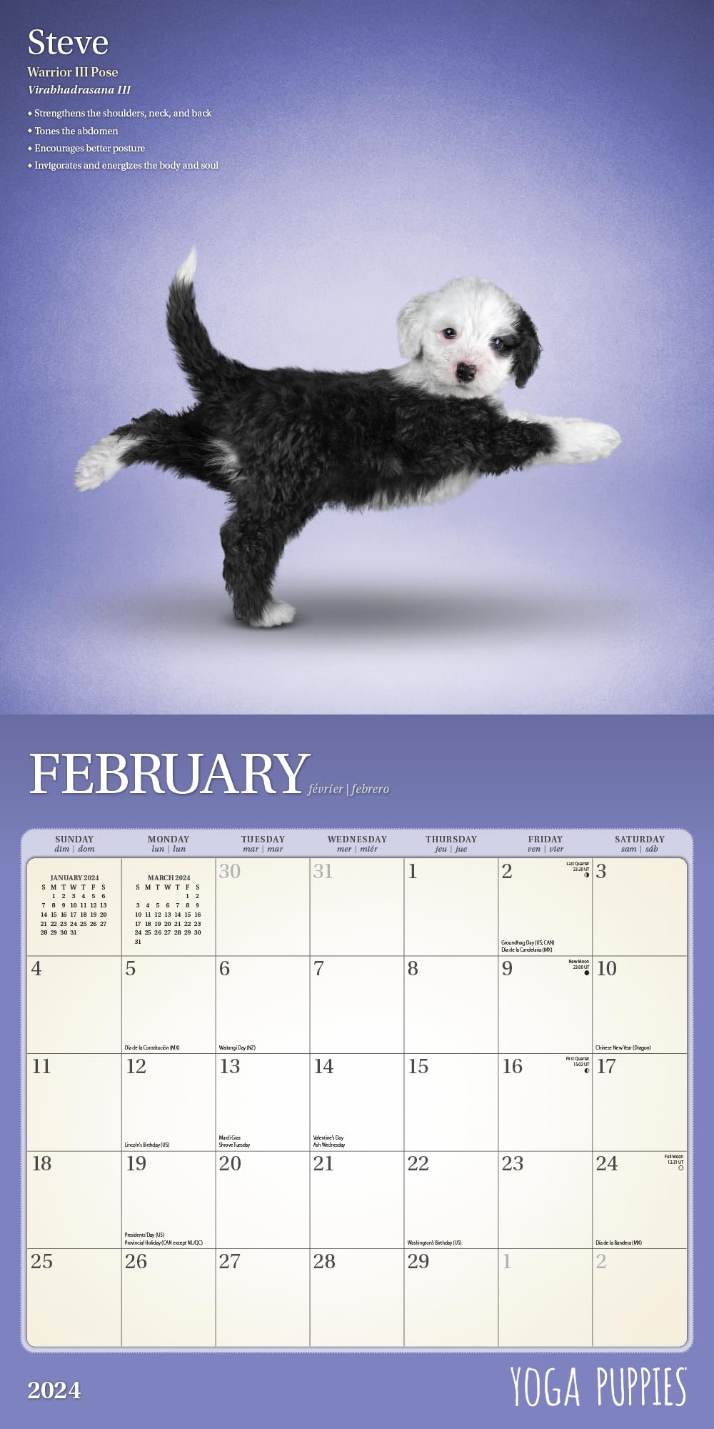 Dog Yoga Calendar 2024