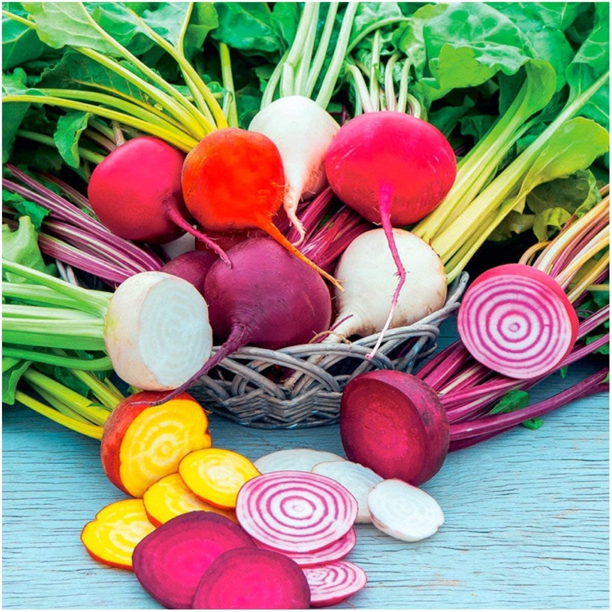 Amazon.com : Seed Needs, 1,500+ Rainbow Beet Seed Mixture - 8 Variety ...