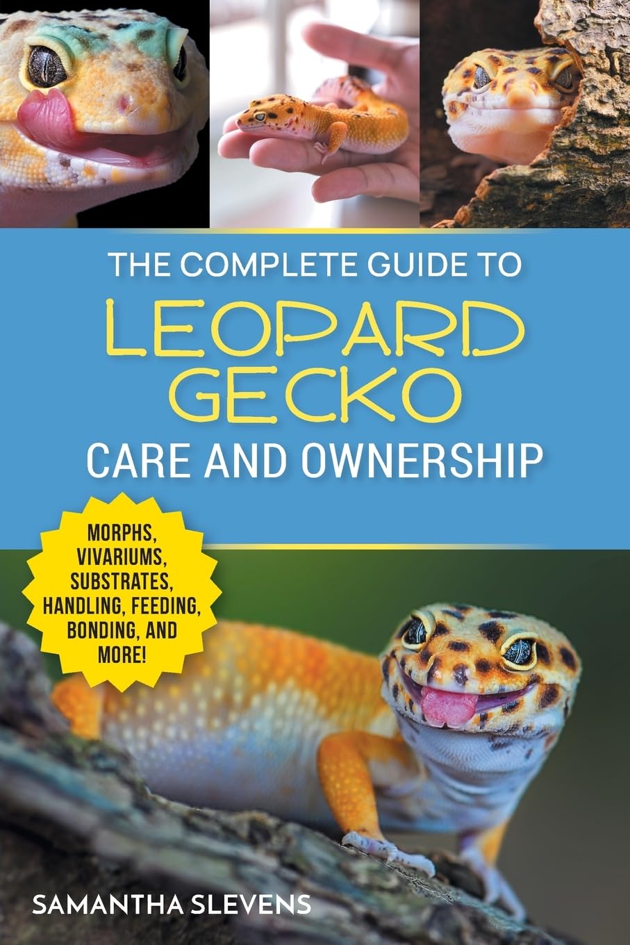 The Ultimate Guide to Leopard Gecko Care: Morfos, Ecuador | Ubuy