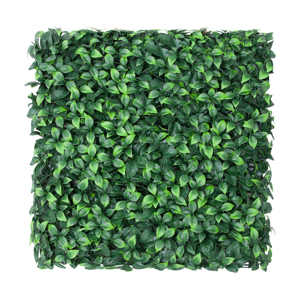 Seto De Gardenia Gardenia Orchidea | Our Collection