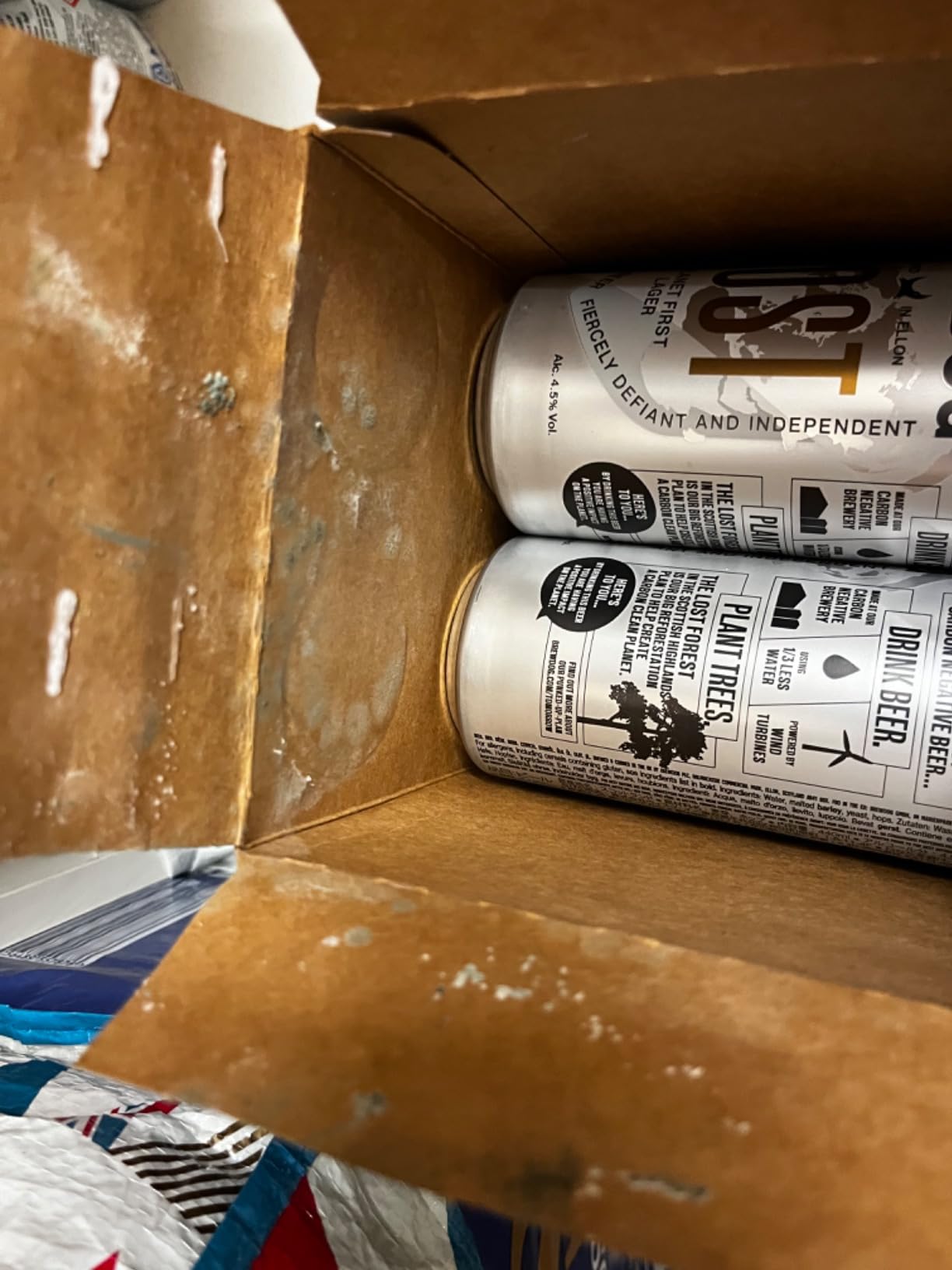 BrewDog Lost Lager Can, 10 x 440ml : Amazon.co.uk: Grocery