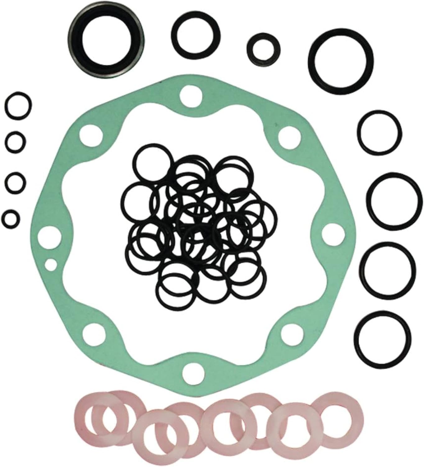 Amazon.com: Complete Tractor 1401-1250 Hydraulic Pump Seal Kit ...
