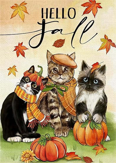 Amazon.com : Covido Hello Fall Cat Decorative Garden Flag, Autumn Pet ...