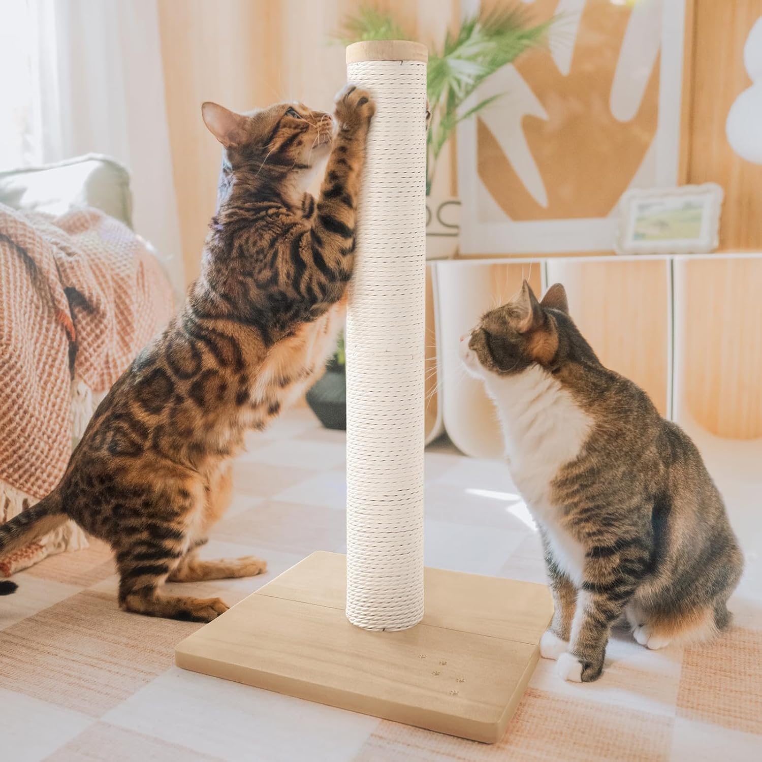 Amazon.com : Necoichi 23.6” Tall Cat Scratching Post Kitten Scratcher ...
