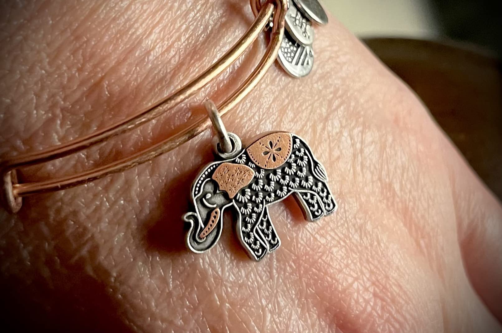 $4/mo - Finance Alex and Ani Path of Symbols Expandable Bangle for ...